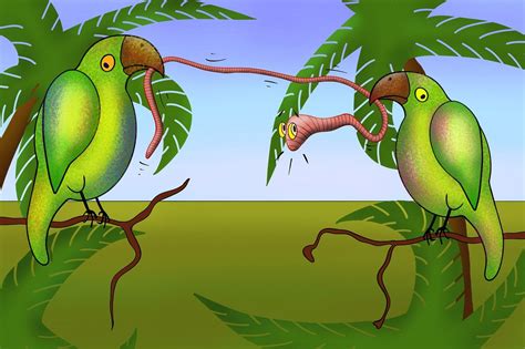 Explore 347 Free Worm Illustrations Download Now Pixabay
