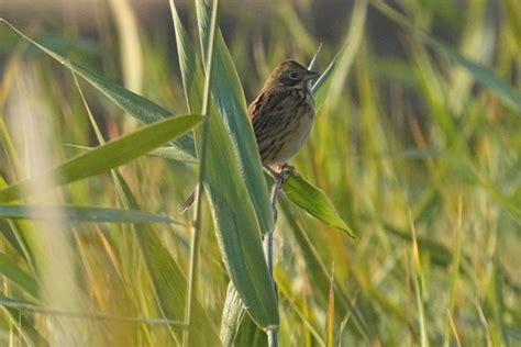 7000 By Tx88a α02 （id：11422029） 写真共有サイト Photohito