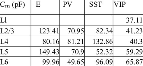 Membrane Capacitance For Each Group Of Cells The Values Are Taken From