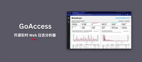 Goaccess 开源实时 Web 日志分析器 小众软件