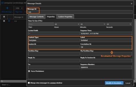 Azure Service Bus Dead Letter Queue Truehisa