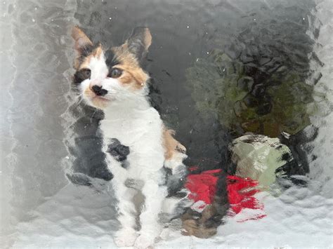 Daniel Rendell On Linkedin Growth Growth Newrole Continuity Worklifebalance