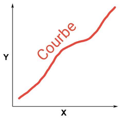 Comment Analyser Une Courbe En Svt Guide Pour Les élèves Du Collège