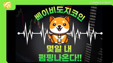 베이비도지코인 몇일 내 펌핑나온다 【베이비도지코인 알아보기】 Youtube