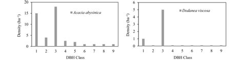 Diameter Class Distribution Of Selected Tree Species In The Private