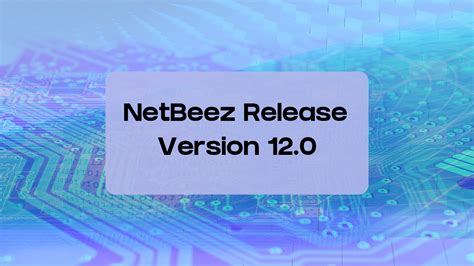 NetBeez Version