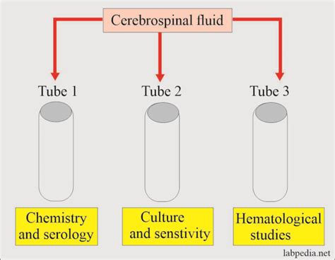 Cerebrospinal Fluid Analysis Part 4 Summary Of Csf Findings In