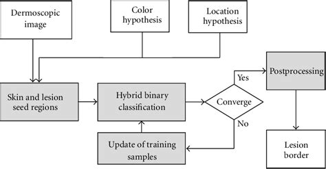 figure 1 from automatic segmentation of dermoscopic images by iterative