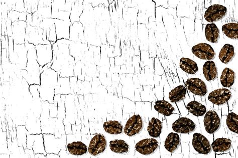 크로켈루 흰색 배경에 금이 페인트와 질감 스크래치 브러시 스트로크 페인트의 얇은 추상 코트 아크릴 구아슈 라임 가뭄에 대한 스톡 벡터 아트 및 기타 이미지 Istock