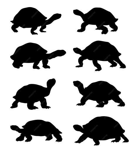 Premium Vector Tortoise Vector Collection Silhouette