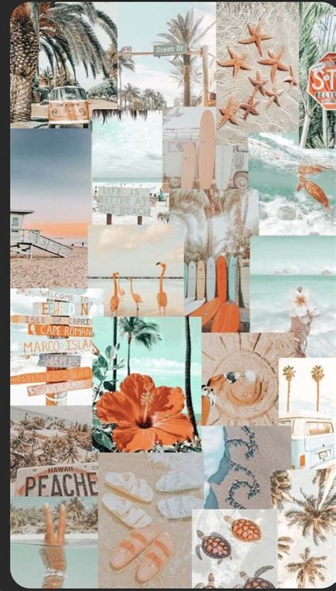 87 Back Rounds For Phone Ideas In 2025 Cute Summer Wallpapers Summer Wallpaper Pretty