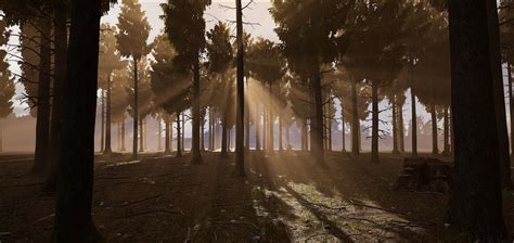 Deepak Mali Summer Morning Scene