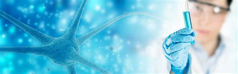 German Stem Cell Clinic Anova Irm Germany