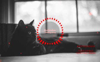 Audio React Visualizer Flexible Duration Up To Min Renderforest