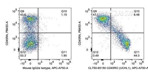 Cd45ro Antibody Cl750 65150 Proteintech