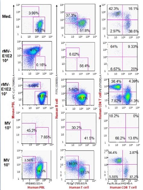 Flow Cytometric Analysis Of Splenocytes Isolated From Hu Pbmc Noj Mice