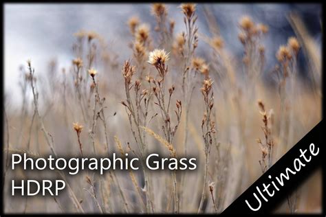 Photographic Grass Ultimate 3d Plants Unity Asset Store