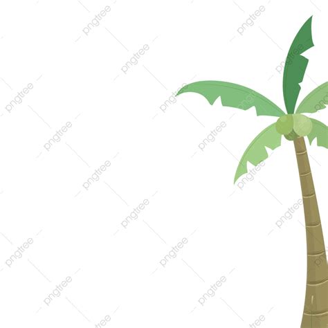 รูปต้นมะพร้าว Png ต้นมะพร้าว Png วัสดุต้นมะพร้าว Png องค์ประกอบ
