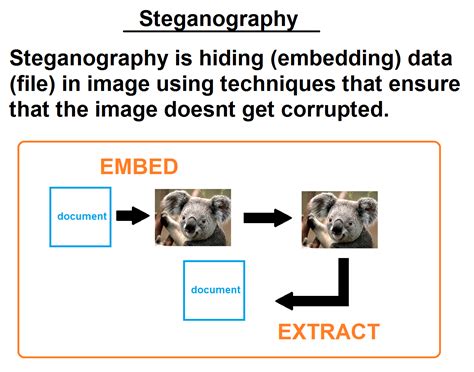 GitHub Shubamuzumaki Steganography Hide Any Type Of File Into An