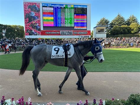 チューリップ賞予想 ふっくんブログ