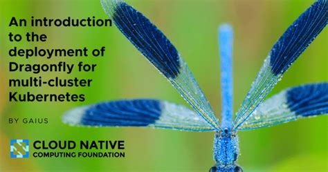 Dragonfly Cloud Native Computing Foundation