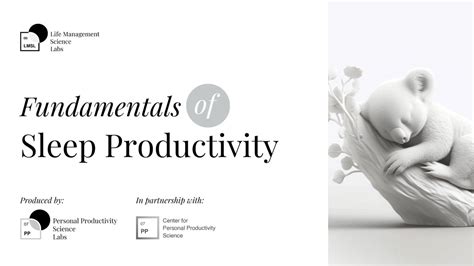 Fundamentals Of Sleep Productivity Life Management Science Labs