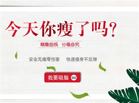 今天你瘦了吗燕儿飞菜儿追 站酷zcool