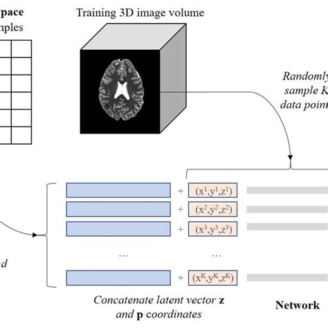 Schema For Auto Decoder Training A Latent Vector Is Obtained For A