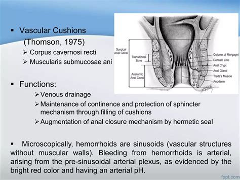Haemorrhoids And Its Management How Can Ayurveda Have The Upper Hand