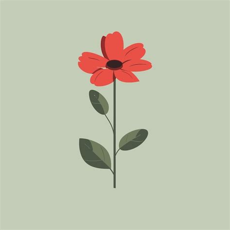 Premium Vector Flora Background