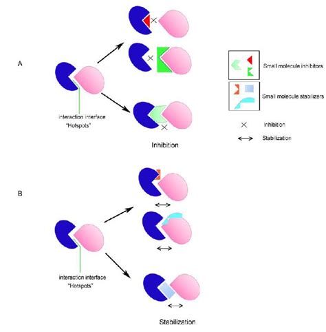 Rule Of Four Based Ppi Focused Library Compound Library Design Boc