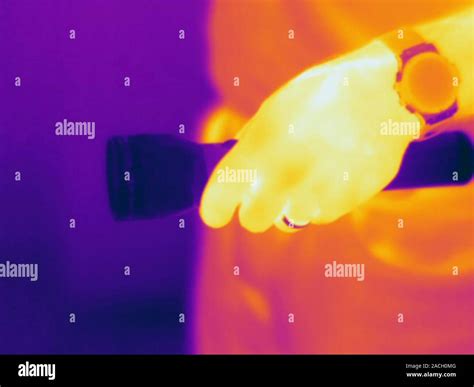 Thermogram Person Holding Flashlight The Colors Show Temperature