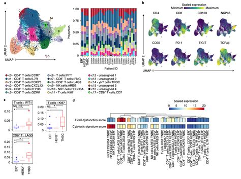 Nature Genetics发表乳腺癌单细胞空间分辨图谱，鉴定与细胞异质性和预后相关的九种亚型 Seqcn