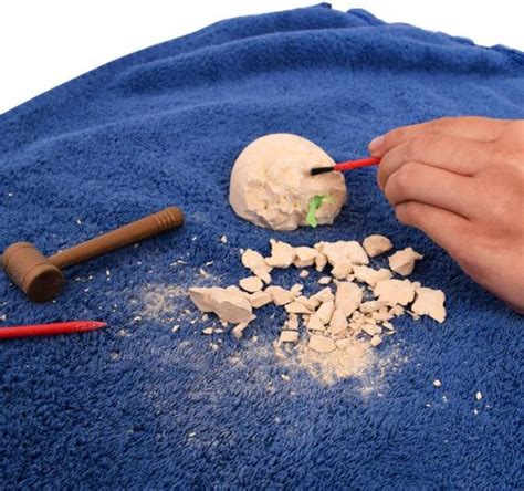 Te Trend 2 Piece Fossils Archeology Excavation Set Dinosaur Excavation