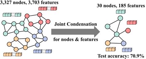 논문 리뷰 Tinygraph Joint Feature And Node Condensation For Graph Neural Networks