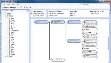Sorting Out Ibm Cognos Security Using Metamanager