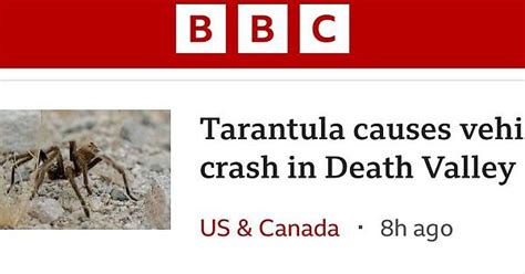 Cause The World Isnt Scary Enough Right Now Album On Imgur