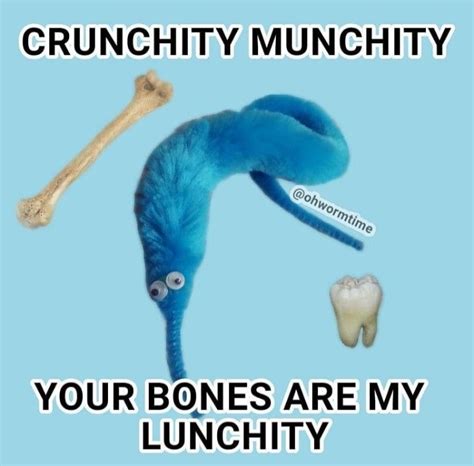 60 Worm On A String Ideas Fuzzy Worms Aesthetic I Need Jesus Funny Images