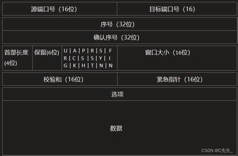 Tcpudp报头模型详解tcp报头udp报头 Csdn博客