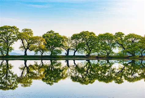 경산 출신 연예인 프로필 모음 아이돌 가수 배우 여배우 남배우 여자 배우 남자 배우 남자 연예인 여자 연예인 여가수 남가수 야구선수 축구선수 개그맨