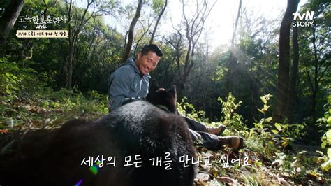 티저 개만 바라본 38년 외길 인생 강형욱 새로운 길을 향해 나선다 고독한훈련사 Youtube