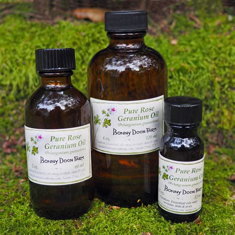 Rose Geranium Essential Oil