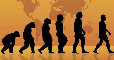 Evolution Isn T Always A Slow Process Knowledgenuts