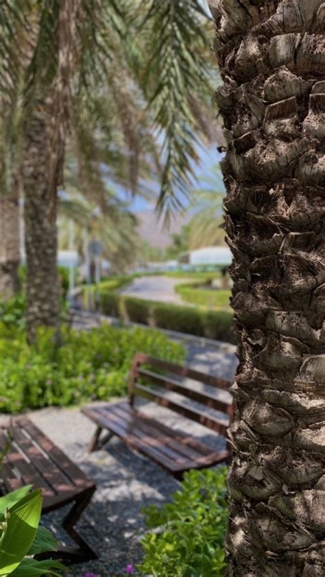 Pin By Mm On مرات الحفظ السريع Beautiful Scenery Nature Amazing