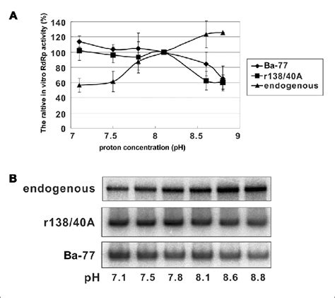 In Vitro Replication Assay With The Rna Templates In Various Ph