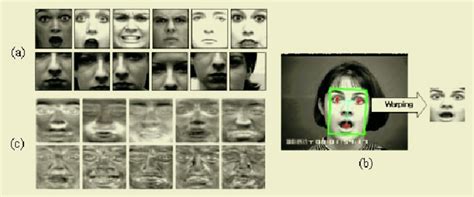 Stages Of The Automatic Facial Expression Recognition Download