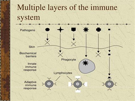 Ppt An Introduction To Artificial Immune Systems Powerpoint