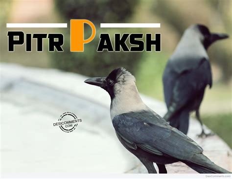 Pitr Paksh Sharaadh Desi Comments