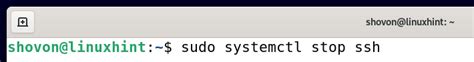 debian 11 で ssh サーバーを有効にする