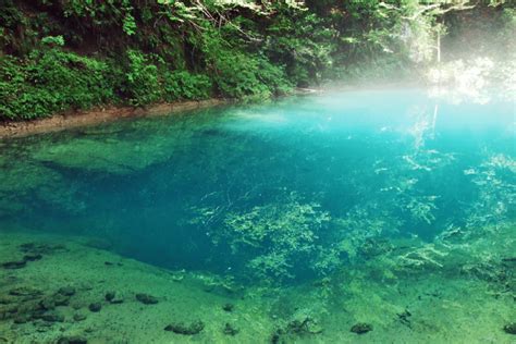 Nacionalni Park Risnjak Što Sve Posjetiti I Kako Organizirati Izlet